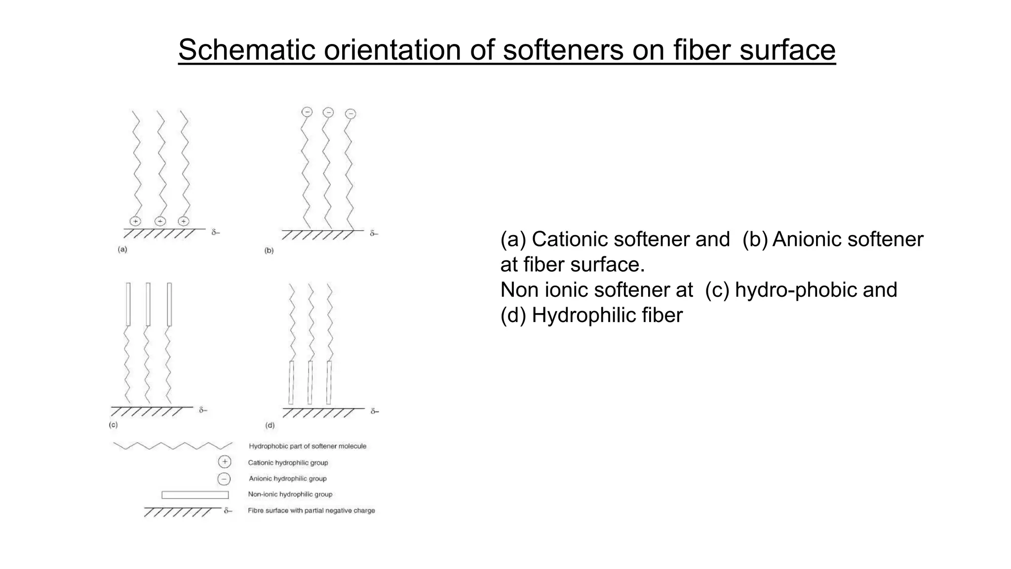 Different types of softener & their uses | PPTX