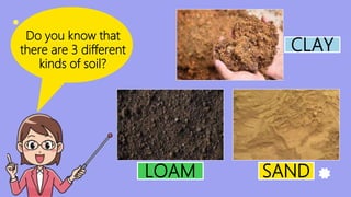 GRADE 4: DIFFERENT TYPES OF SOIL | PPTX