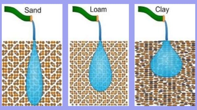 GRADE 4: DIFFERENT TYPES OF SOIL | PPTX