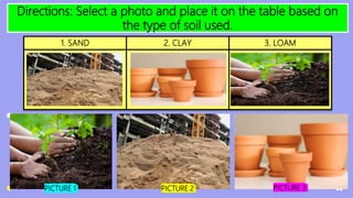 GRADE 4: DIFFERENT TYPES OF SOIL | PPTX