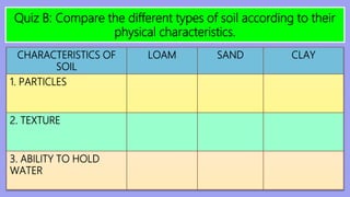 GRADE 4: DIFFERENT TYPES OF SOIL | PPTX