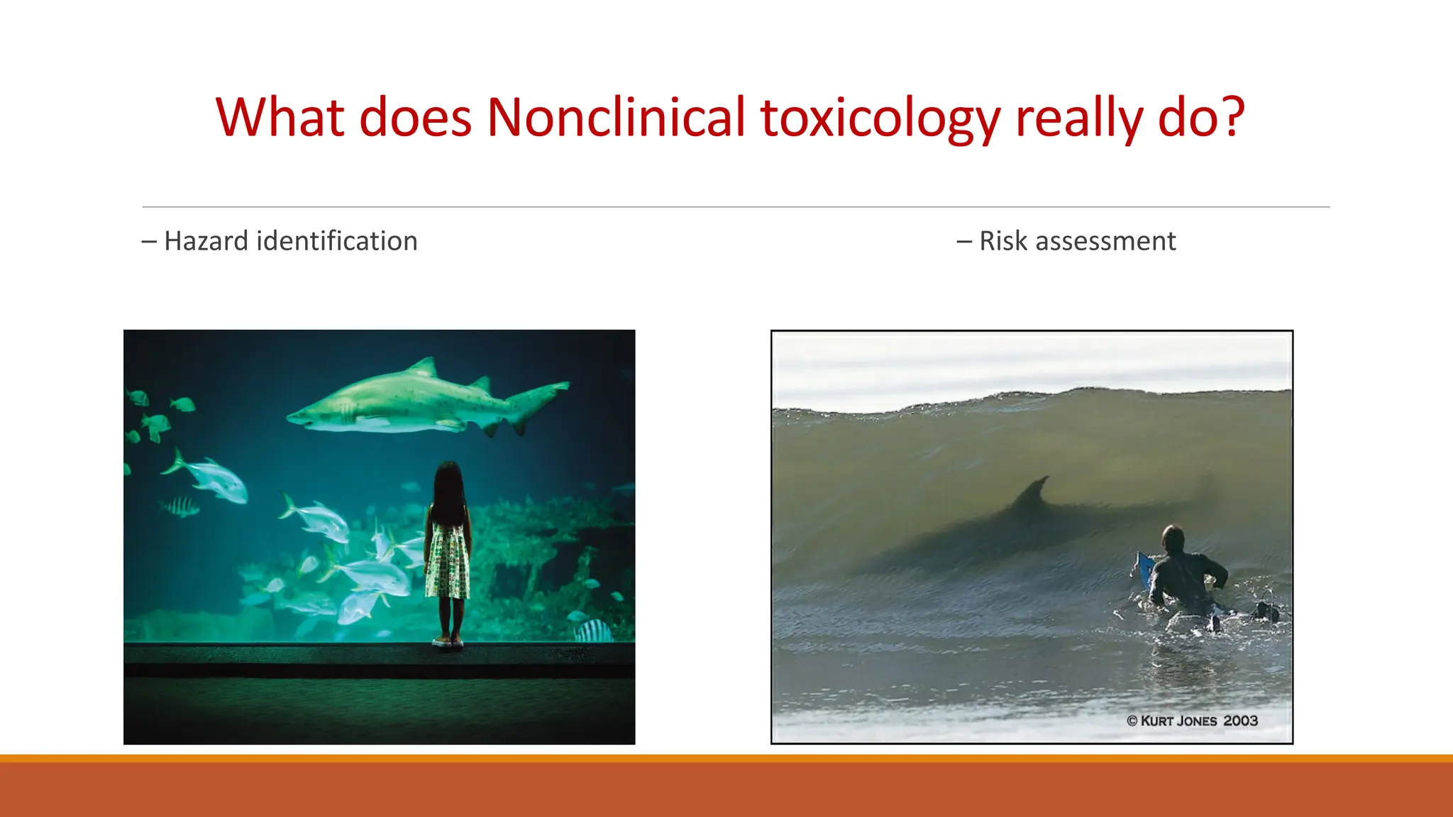 Different types of toxicity studies_131223.pdf | Chemistry | Science