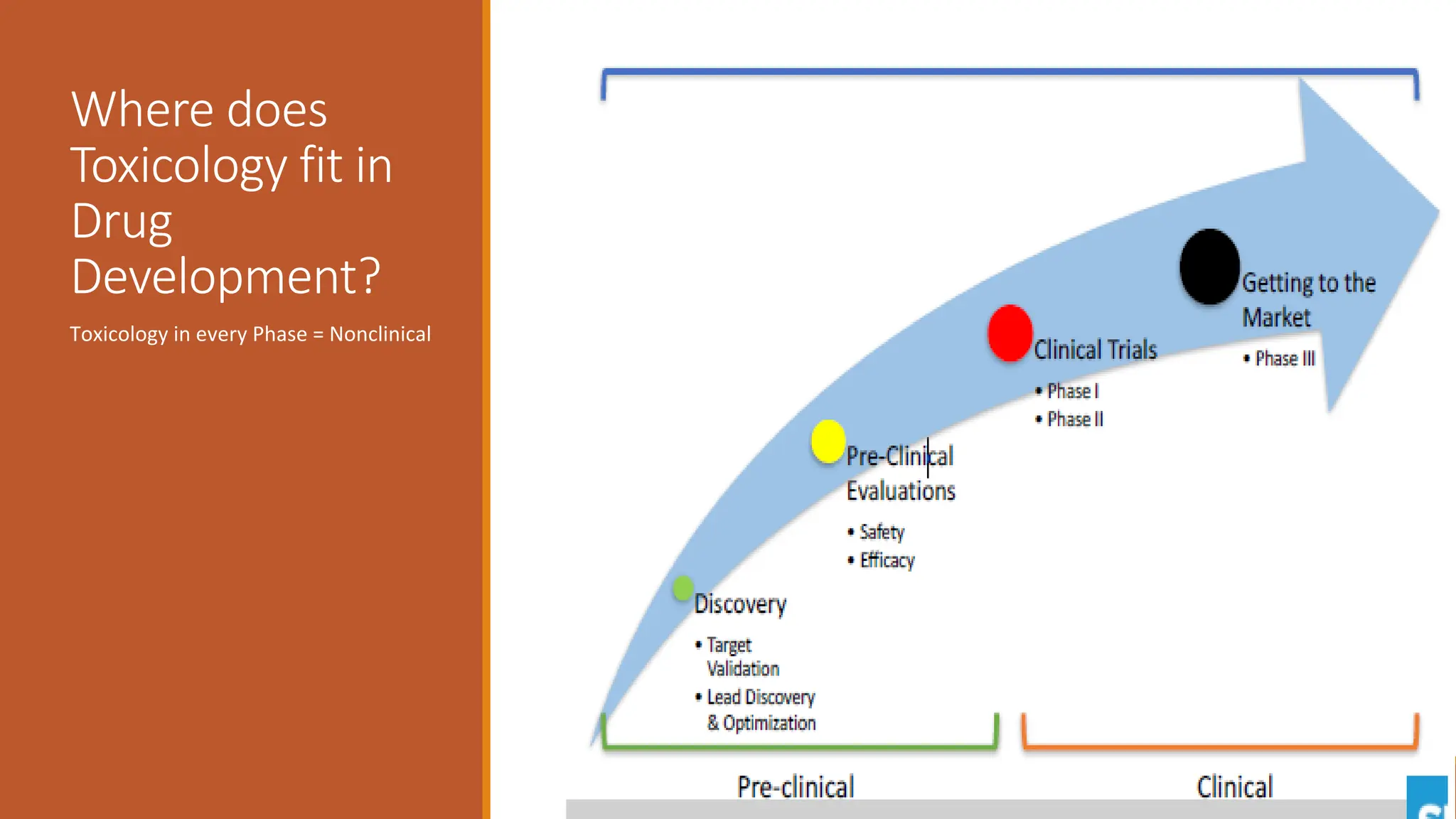 Different types of toxicity studies_131223.pdf | Chemistry | Science