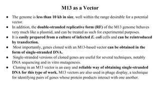 Different types of vectors.pptx