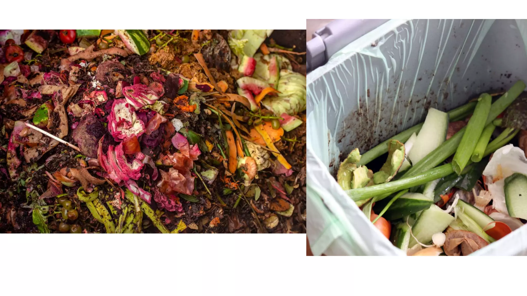 Different Types of Wastes.pptx