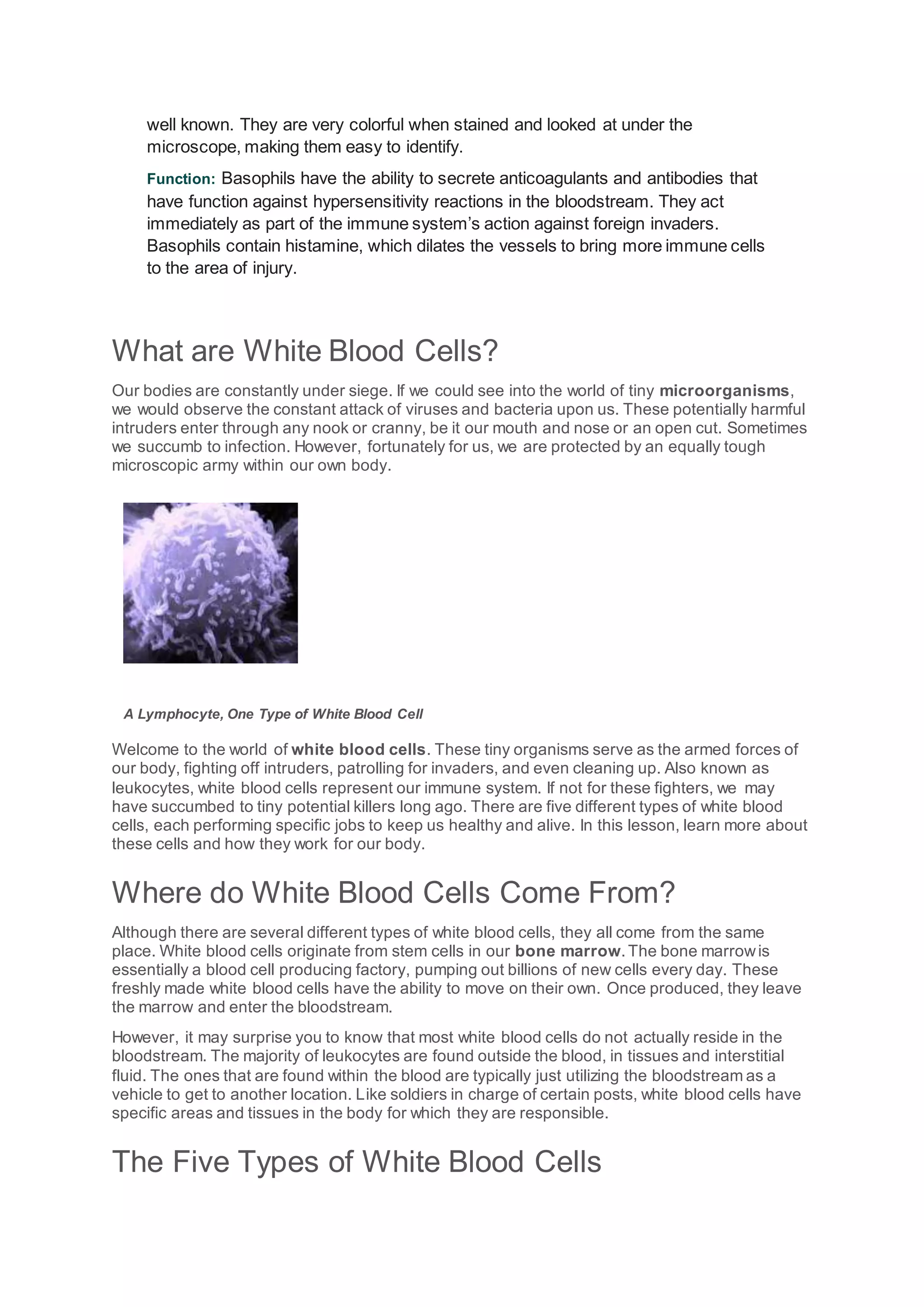 Different types of wbc cells | DOCX