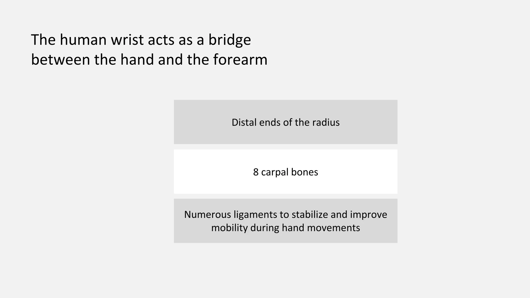 Different types of Wrist Movements Explained | PPTX