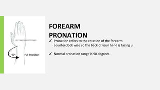 Different types of Wrist Movements Explained | PPTX
