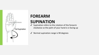 Different types of Wrist Movements Explained | PPTX