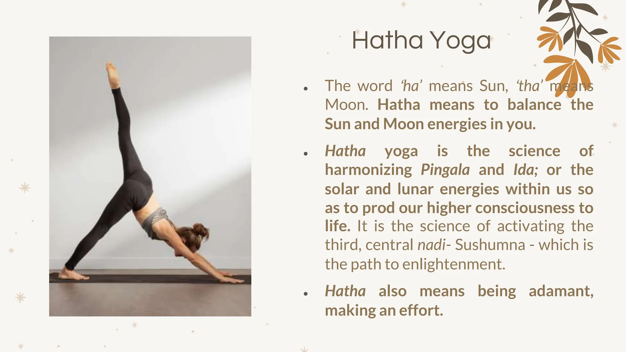Different Types of Yoga practices and disciplines | PPTX