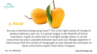 Different Varieties of Mangoes Exported from India | Fresh Mango ...
