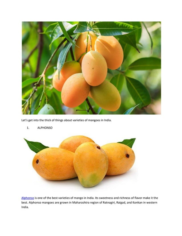 Different varieties of mango | Mango Varieties | PDF