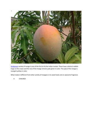 Different varieties of mango | Mango Varieties | PDF