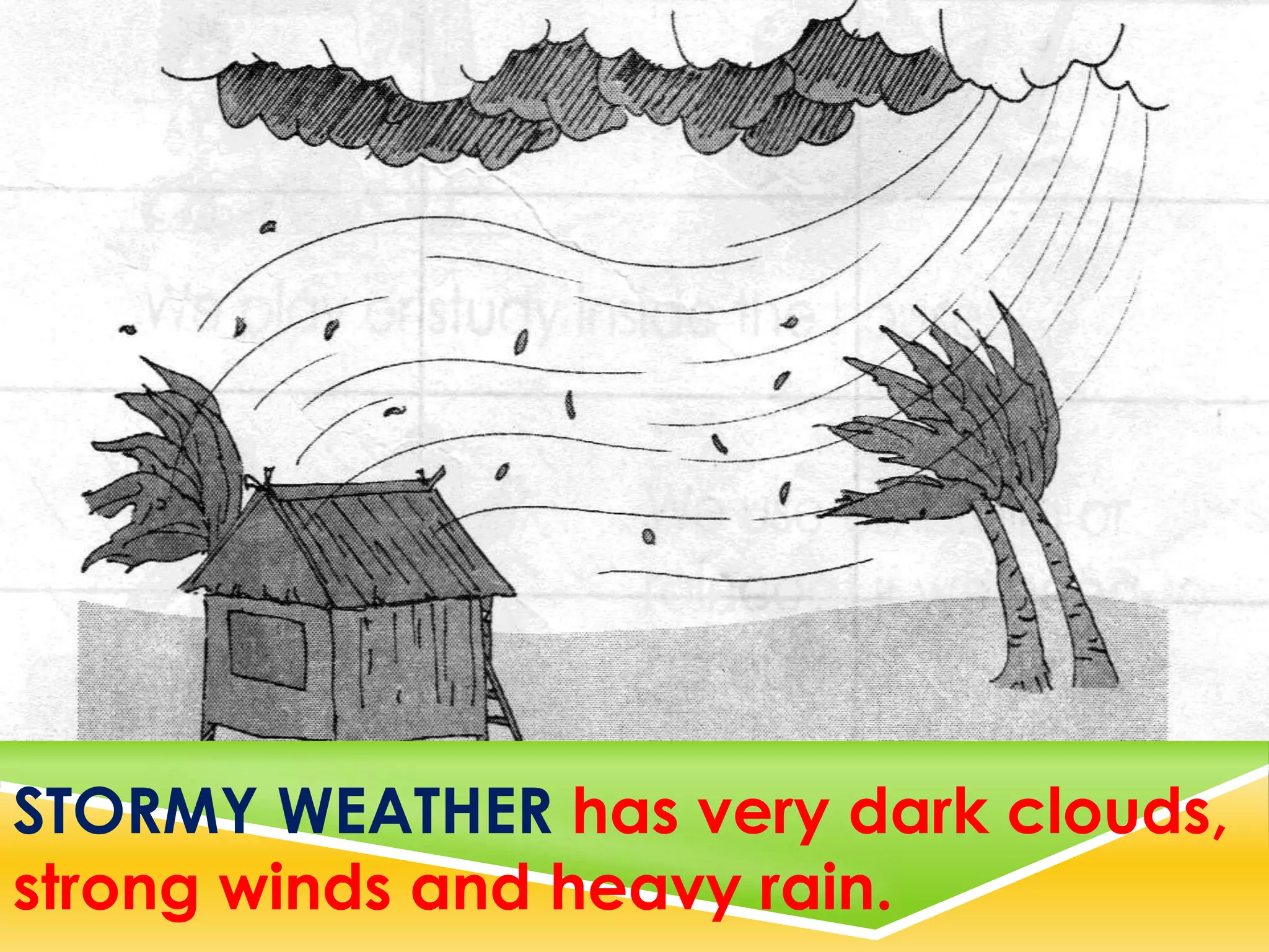 Different Weather Conditions | PPTX