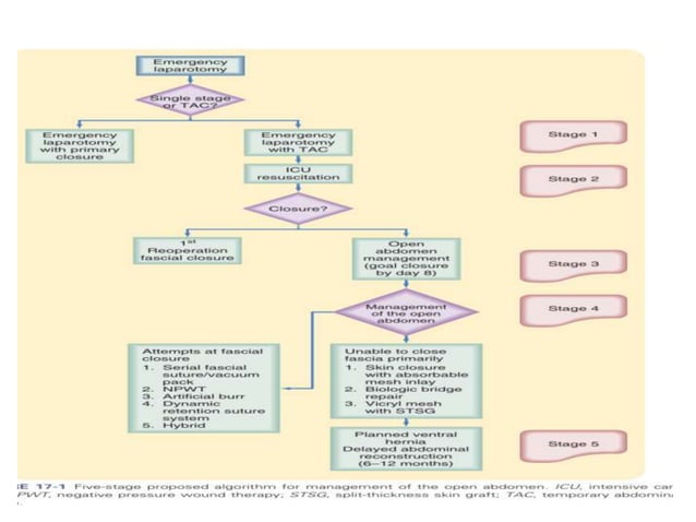 Difficult abdominal Wall | PPTX