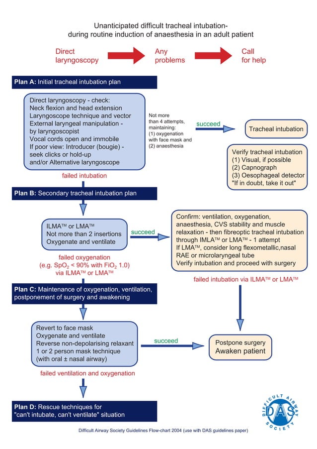 Difficult airway guidelines | PDF | Lung and Respiratory Health ...
