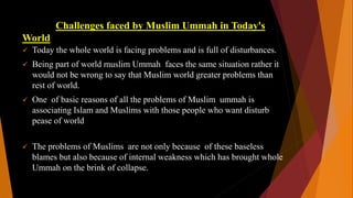 Muslim Ummah Problems