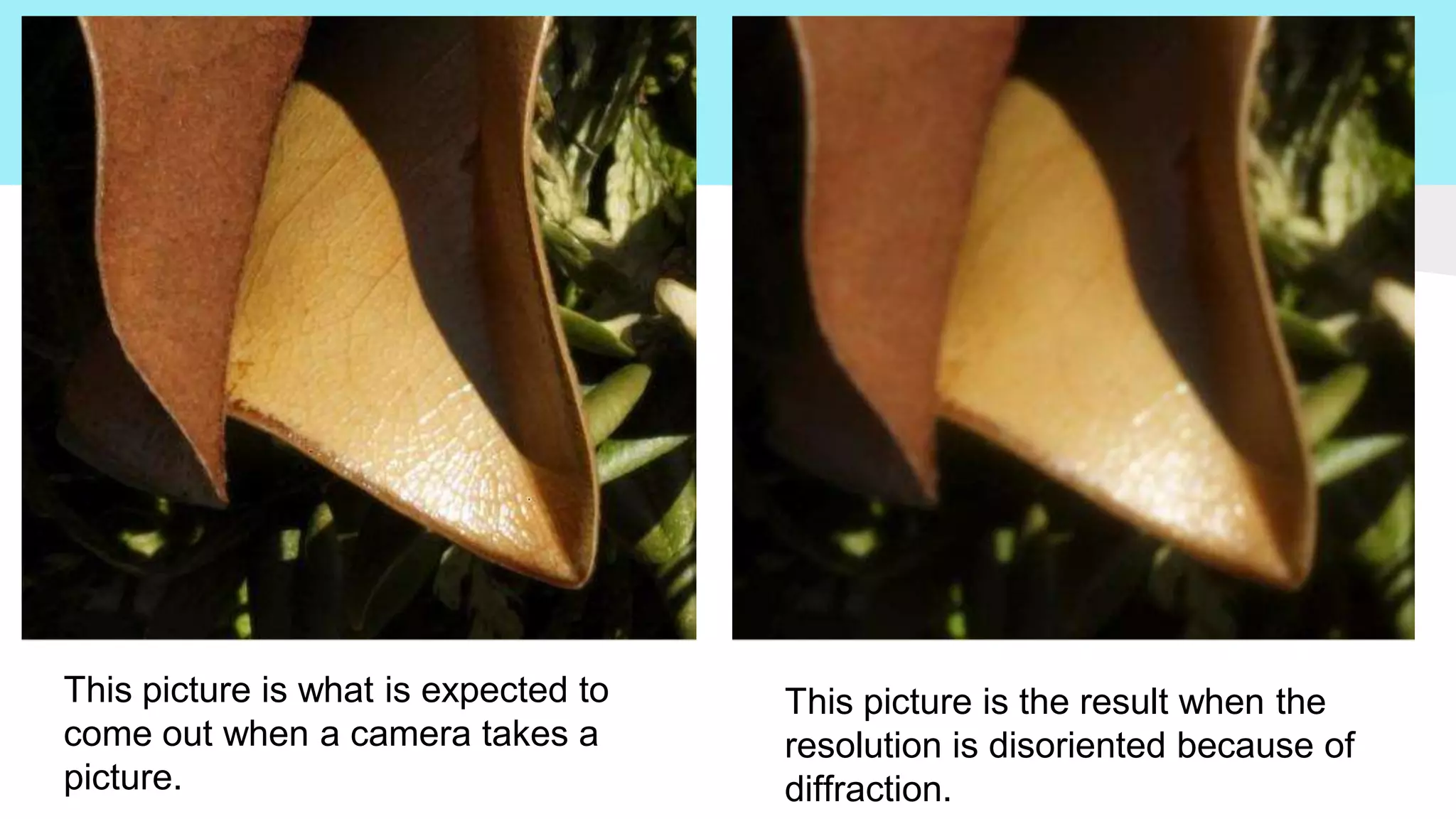 Diffraction of light | PPTX