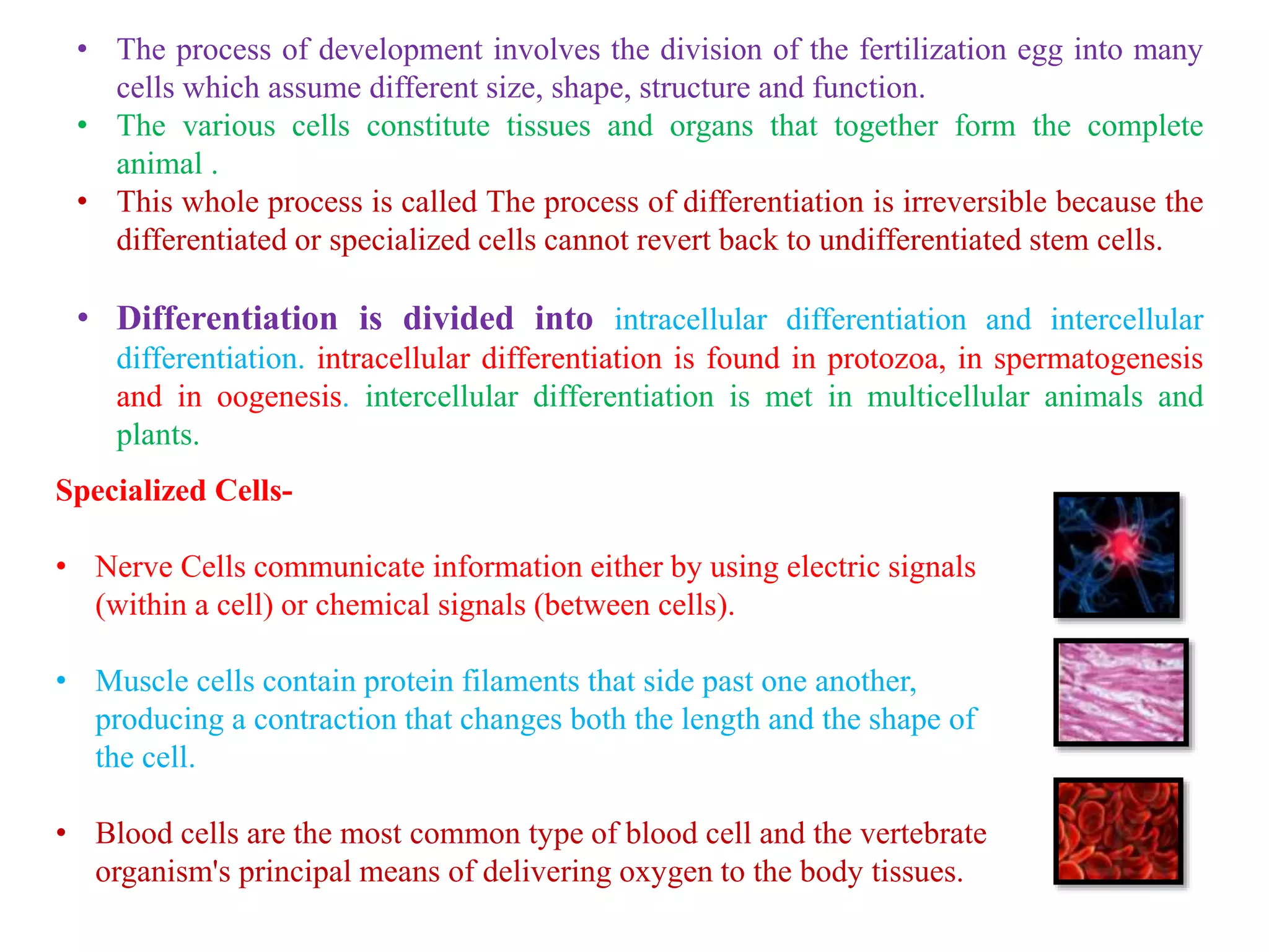 Diffrentiation,Cell diffrentiation,Types of differentiation,Mechanism ...