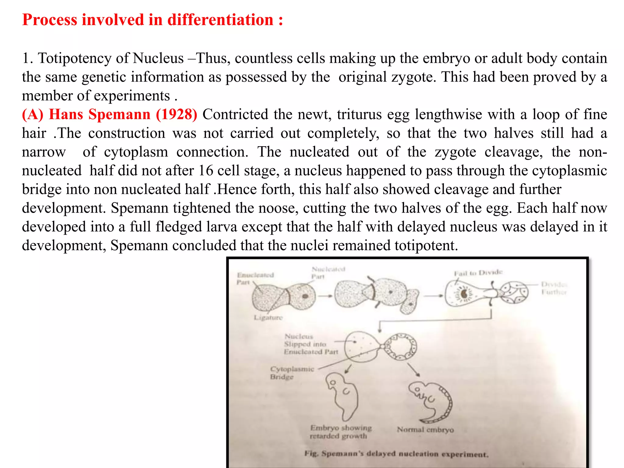 Diffrentiation,Cell diffrentiation,Types of differentiation,Mechanism ...