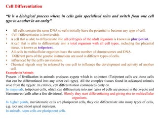 Diffrentiation,Cell diffrentiation,Types of differentiation,Mechanism ...
