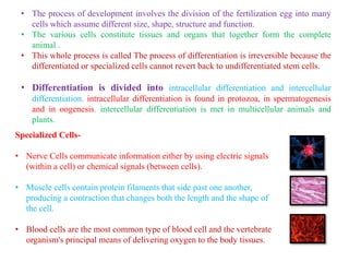 Diffrentiation,Cell diffrentiation,Types of differentiation,Mechanism ...