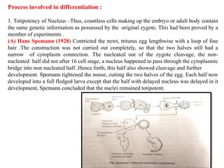 Diffrentiation,Cell diffrentiation,Types of differentiation,Mechanism ...