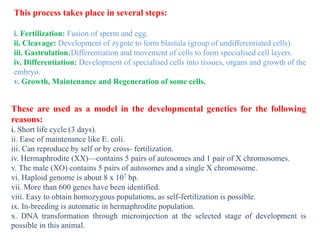 Diffrentiation,Cell diffrentiation,Types of differentiation,Mechanism ...