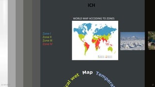 Different drug regularity bodies in different countries. | PPTX