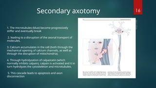 DIFFUSE AXONAL INJURY AND ITS MANAGEMENT.pptx