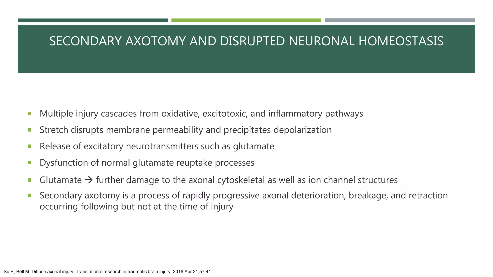 Diffuse Axonal Injury | PPTX