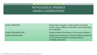 Diffuse Axonal Injury