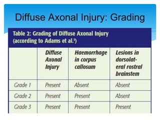 Diffuse Axonal Injury and Concussion | PPT