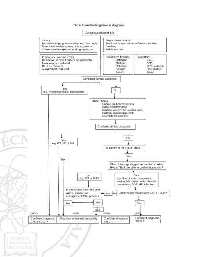 Diffuse interstitial algorithm | DOCX | Lung and Respiratory Health | Diseases and Conditions