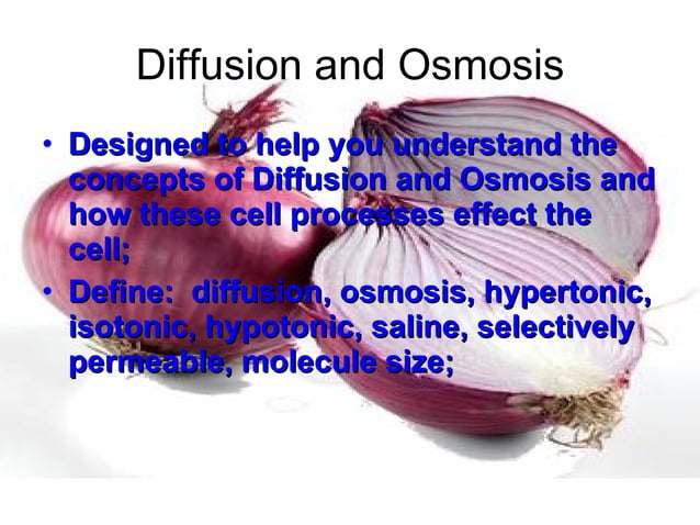 Diffusion | PPT