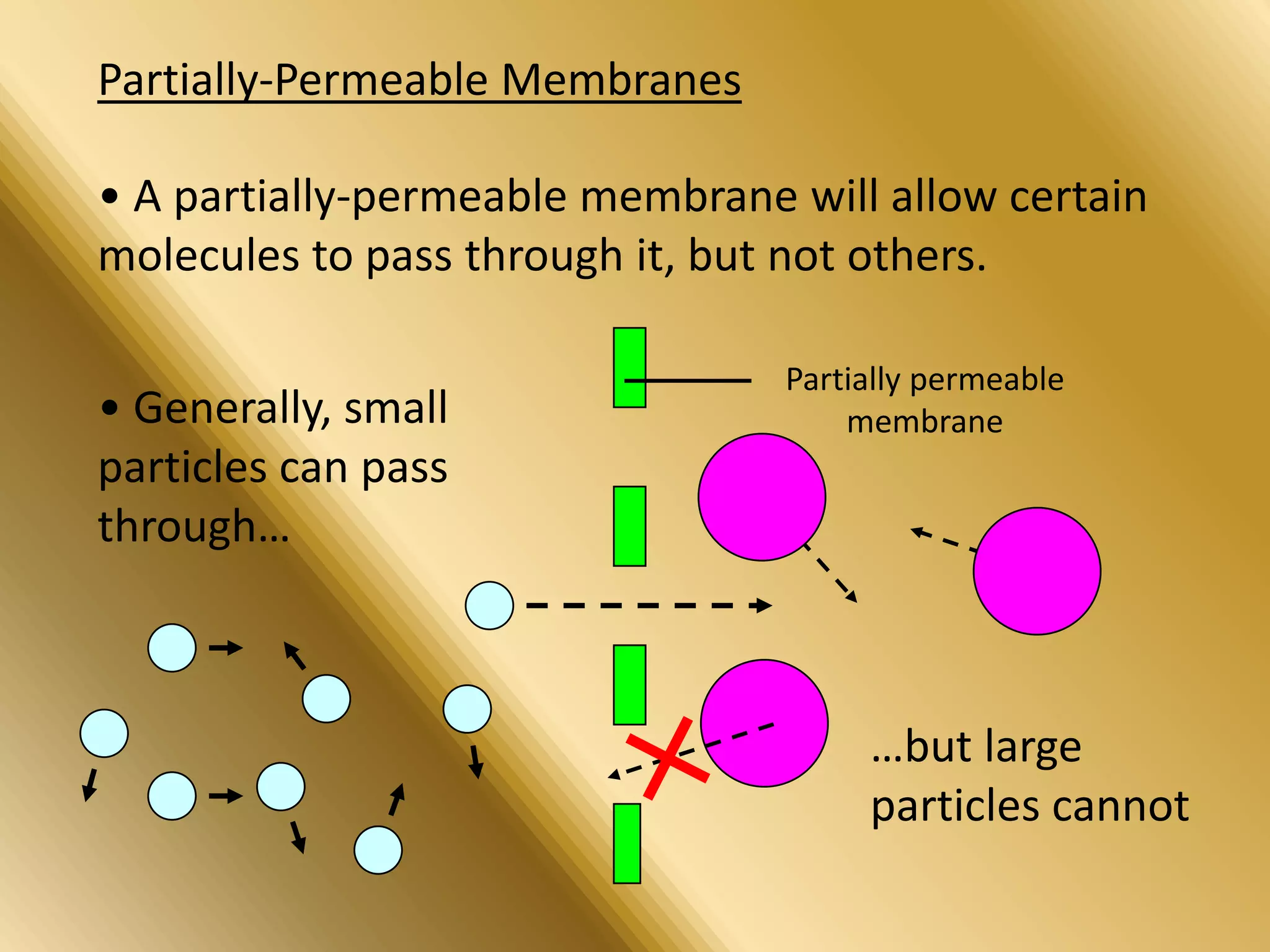Diffusion | PPTX | Chemistry | Science