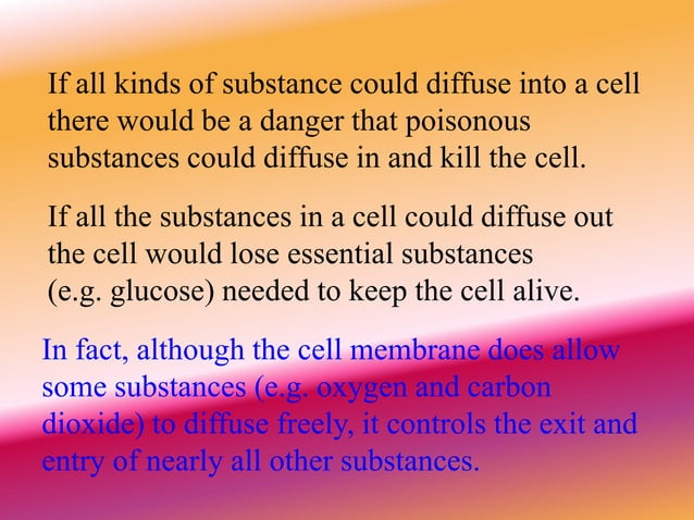 Diffusion | PPTX | Chemistry | Science