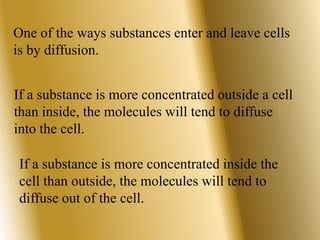 Diffusion | PPTX