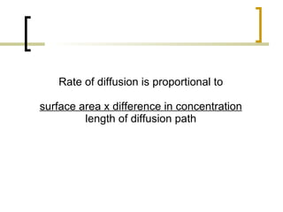 Diffusion | PPT