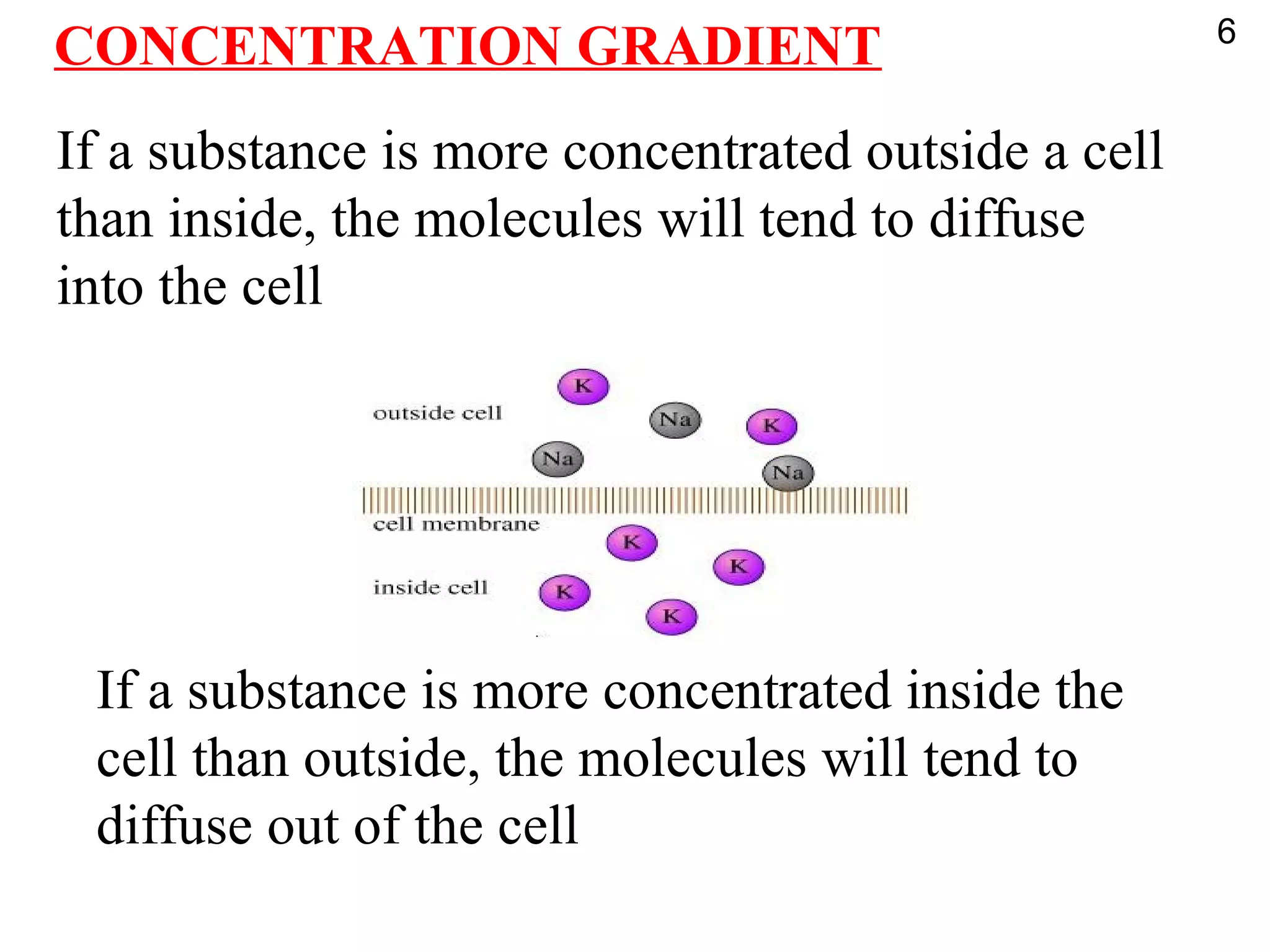 Diffusion | PPT