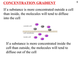 Diffusion | PPT