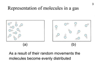 Biology Diffusion | PPT