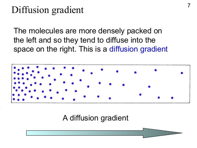 Biology Diffusion