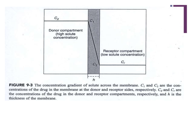 Diffusion (Physical Pharmacy) | PPTX | Chemistry | Science