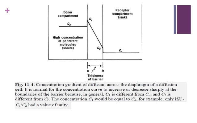 Diffusion (Physical Pharmacy) | PPTX | Chemistry | Science