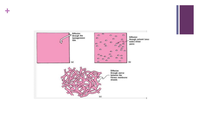 Diffusion (Physical Pharmacy) | PPTX | Chemistry | Science
