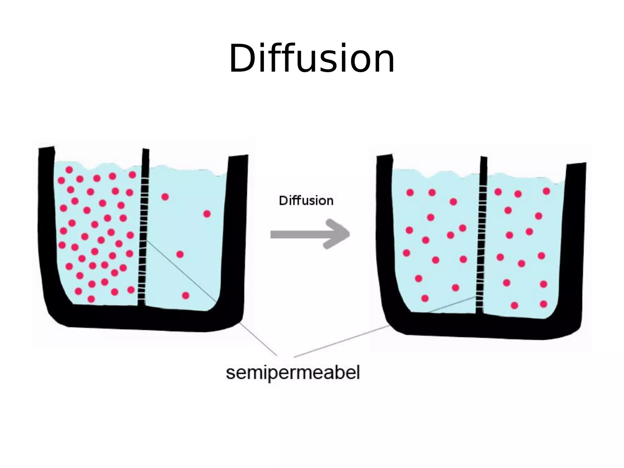 Diffusion | PDF
