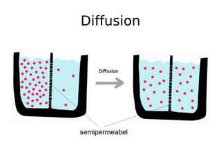 Diffusion | PDF