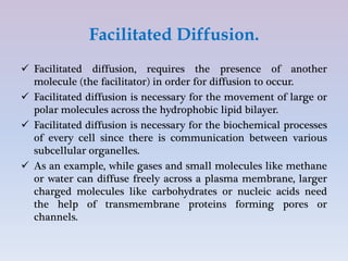Diffusion | PPTX