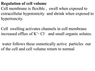 diffusion.pptx